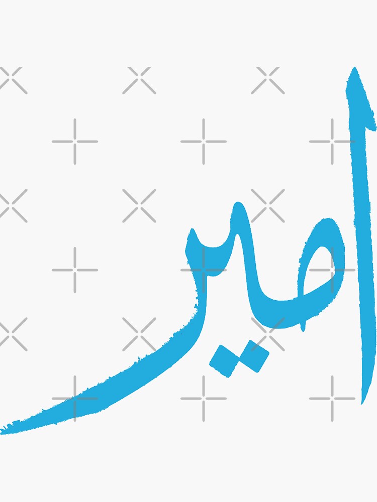 "Amir in Arabic Calligraphy" Sticker by Paradisessntl | Redbubble