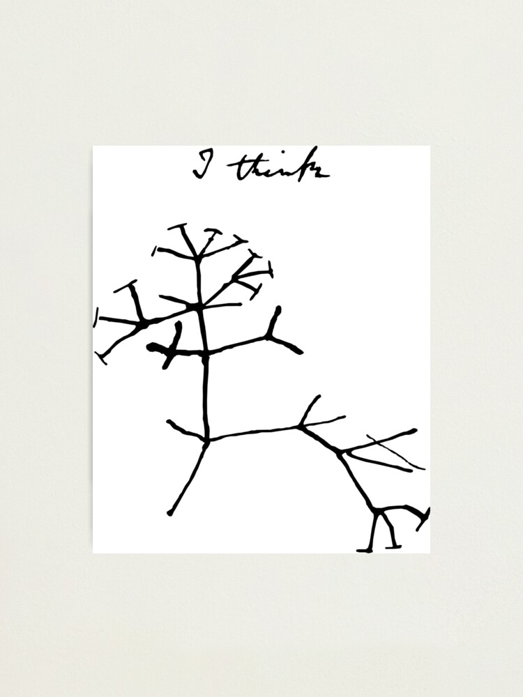 Darwins Tree Of Life Sketch