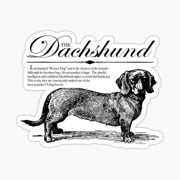 "Dachshund / Weiner Dog Love - Storybook Style Typographic Design ...
