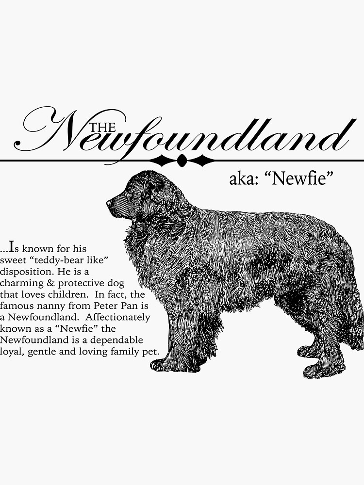 "Newfie / Newfoundland Love - Storybook Style Typographic Design ...
