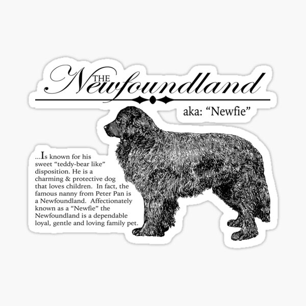 "Newfie / Newfoundland Love - Storybook Style Typographic Design ...