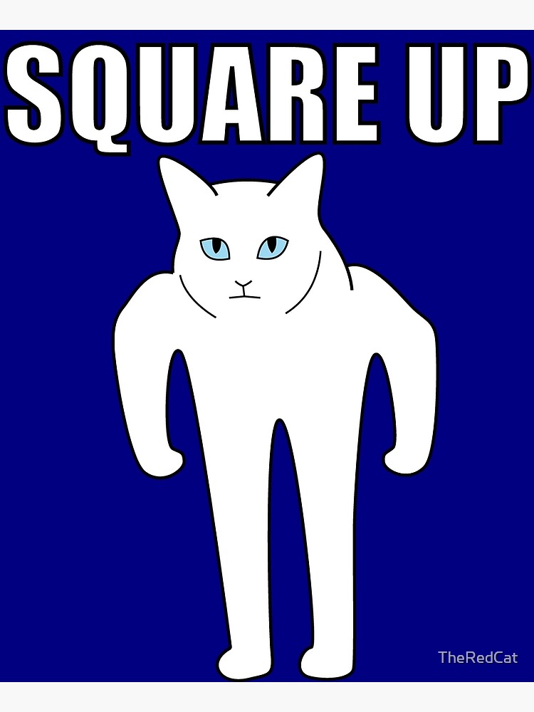 "Square Up Half-Cat Meme" Poster for Sale by TheRedCat | Redbubble