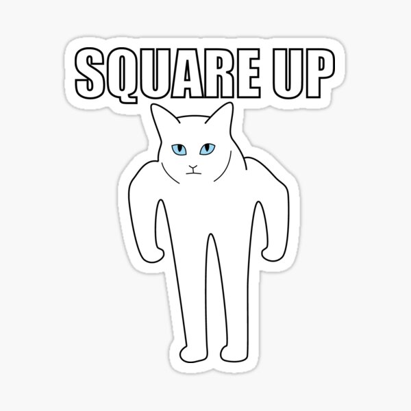 "Square Up Half-Cat Meme" Sticker for Sale by TheRedCat | Redbubble