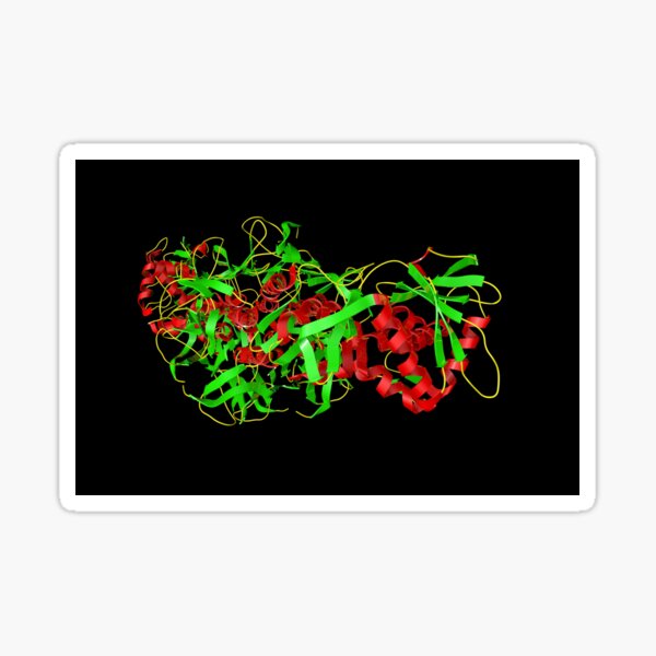 "Molecule of shiga toxin produced by bacteria Shigella" Sticker by ...