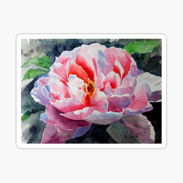 "pink peony" Sticker for Sale by valsorbets | Redbubble