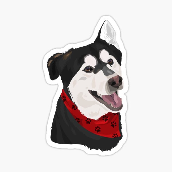 "Floki the Husky Shepherd Lab" Sticker by liz-des | Redbubble