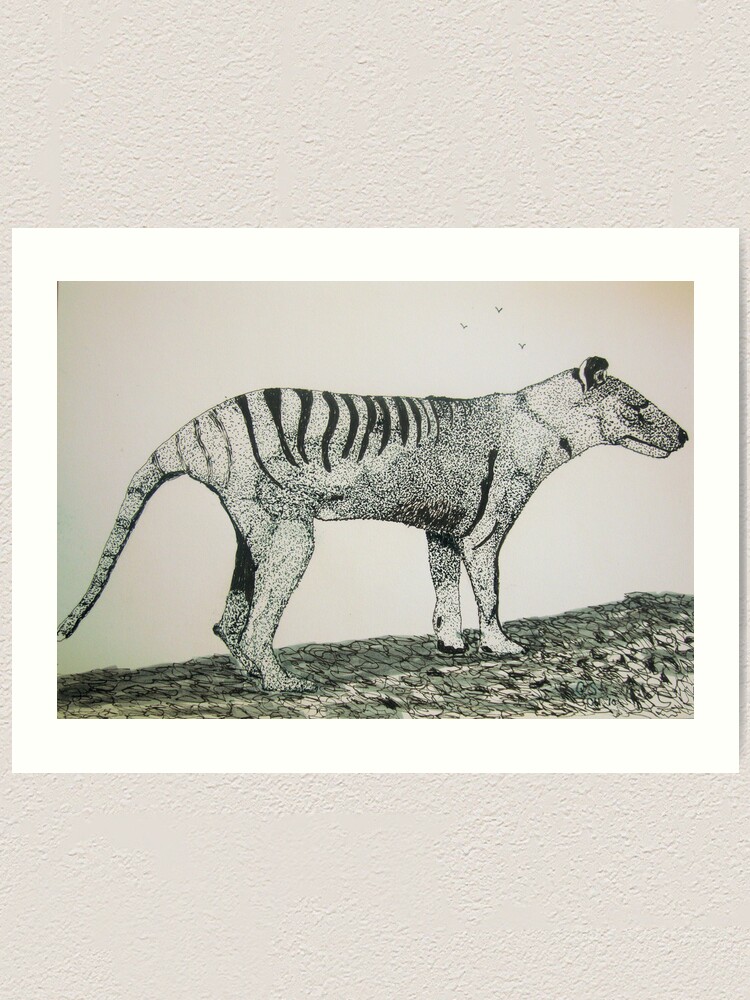 "The Thylacine" Art Print by eric1 | Redbubble