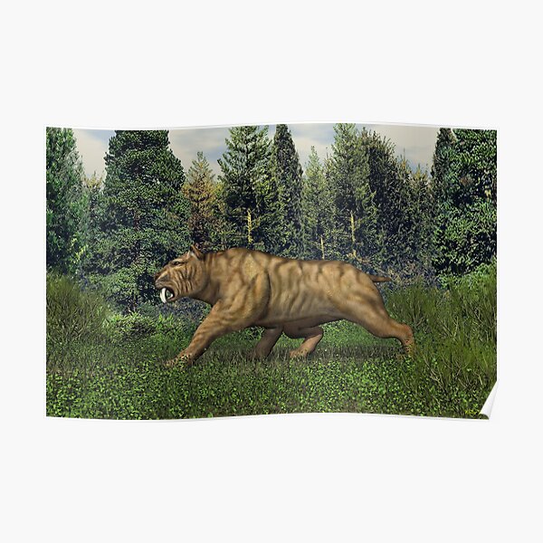 "Smilodon (Saber Tooth Tiger)" Poster by Skyviper | Redbubble