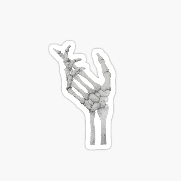 "Human Hand Bones" Sticker for Sale by Tigerfire42 | Redbubble