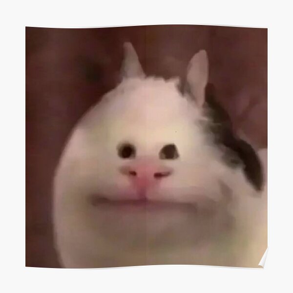 "Meme Cat" Poster by Caspersonnn | Redbubble