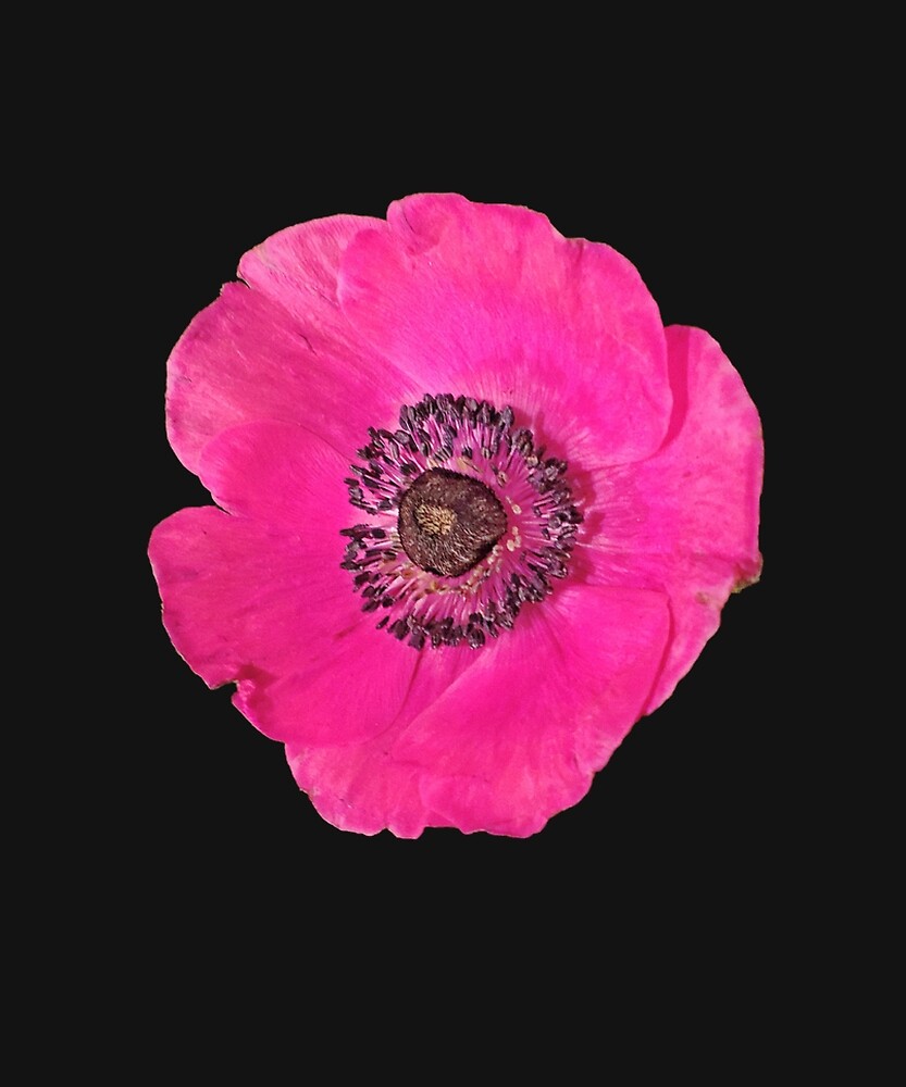 "Anemone - Design" by FluffyTheDude | Redbubble