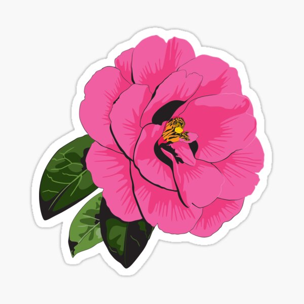 "Camellia Flower - Pink" Sticker for Sale by ladyfacecreates | Redbubble