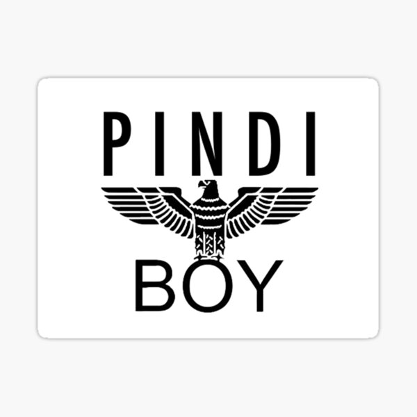"Pindi Boy" Sticker for Sale by Freshistan | Redbubble
