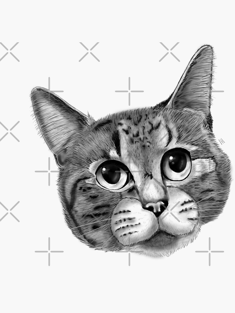 "Skitty Kitty" Sticker for Sale by ong2000 | Redbubble