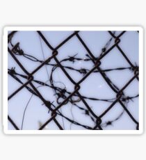 Barbed Wire: Stickers | Redbubble