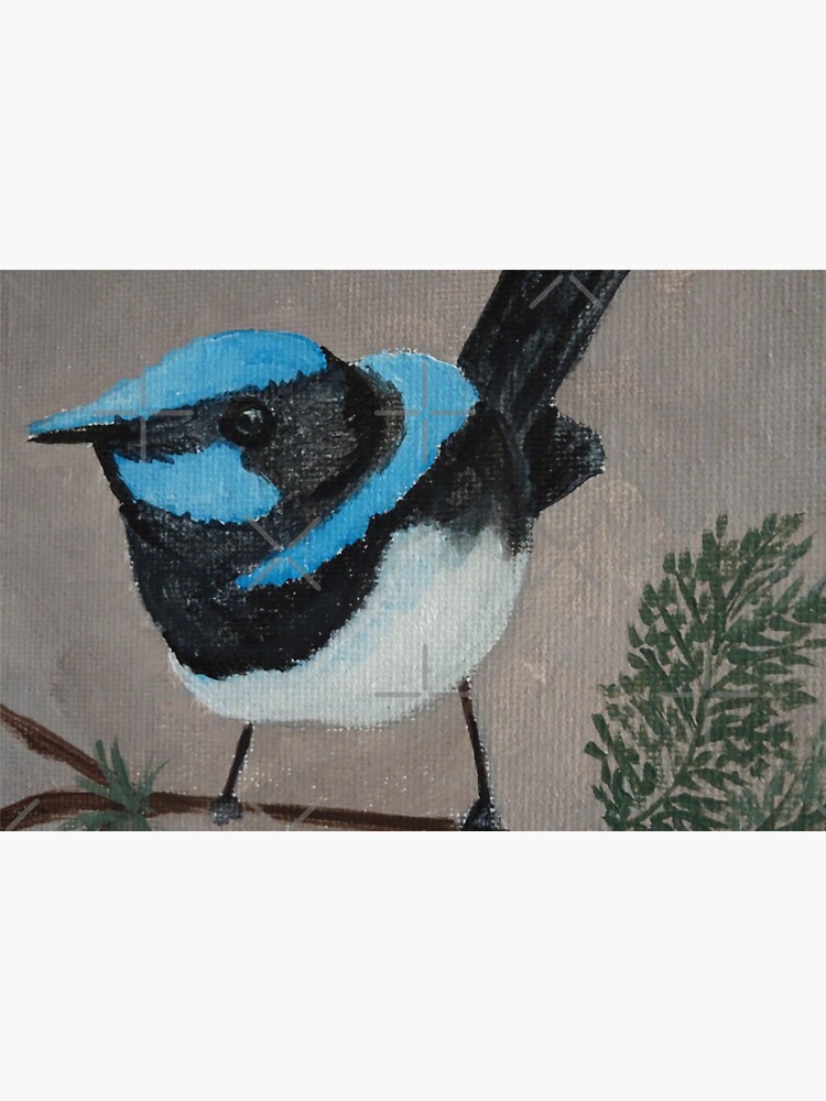 "Fairy Wren" Sticker for Sale by AmazingCorn | Redbubble