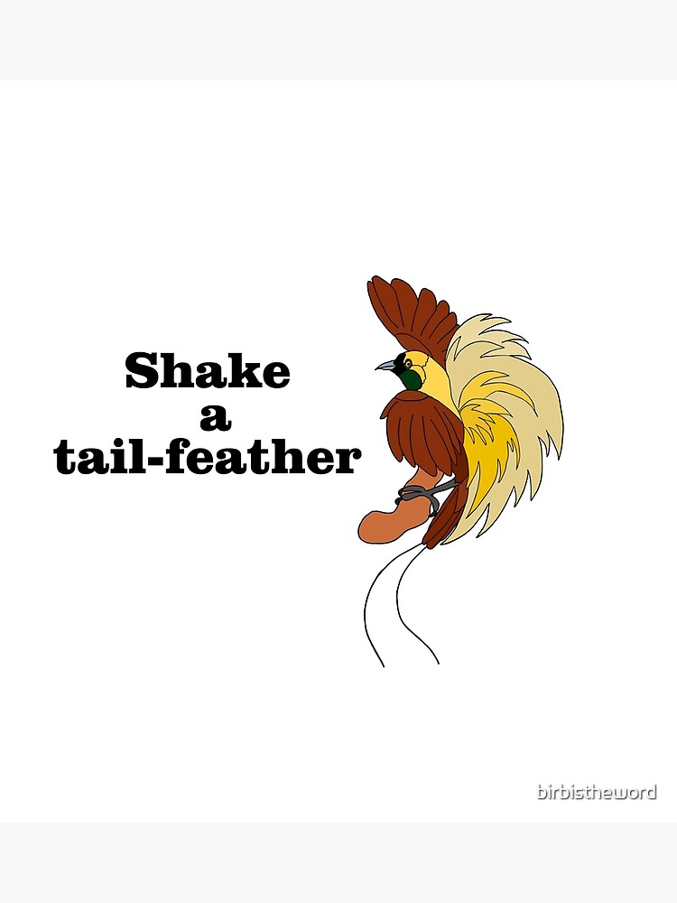 "Shake a tail-feather" Poster by birbistheword | Redbubble
