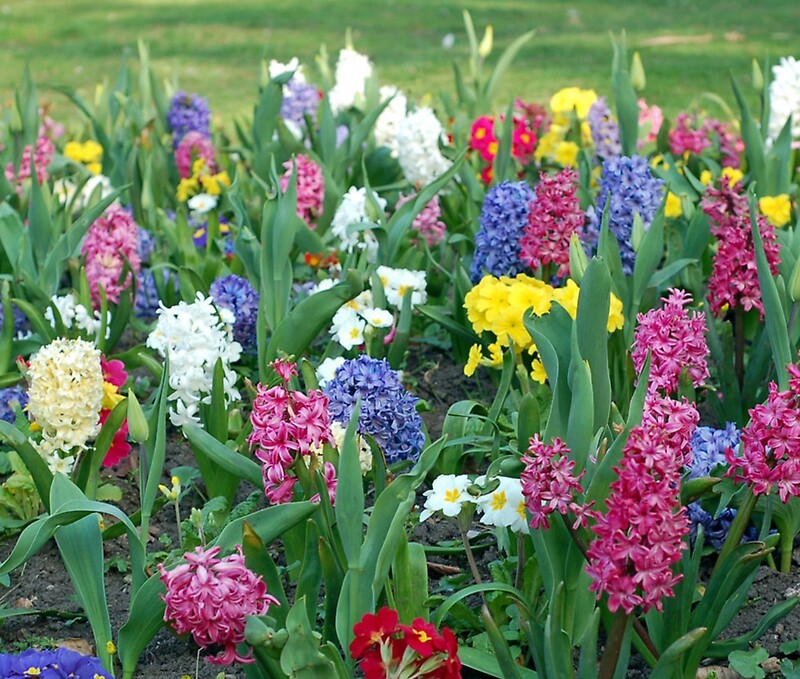 "Beautiful Spring" by sloganwriter12 | Redbubble