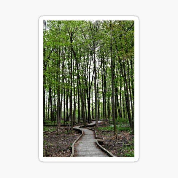 "Forest Path" Sticker for Sale by ThruJensLens | Redbubble