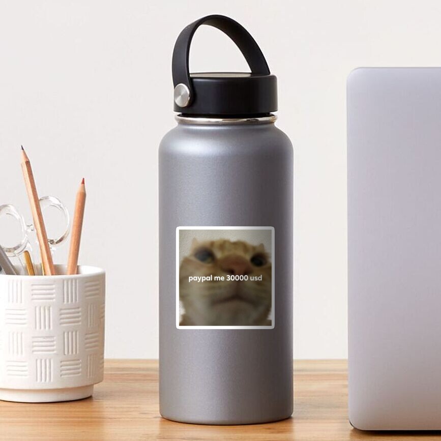 "Paypal Me 30000 usd cat meme" Sticker for Sale by Mx-Omen | Redbubble