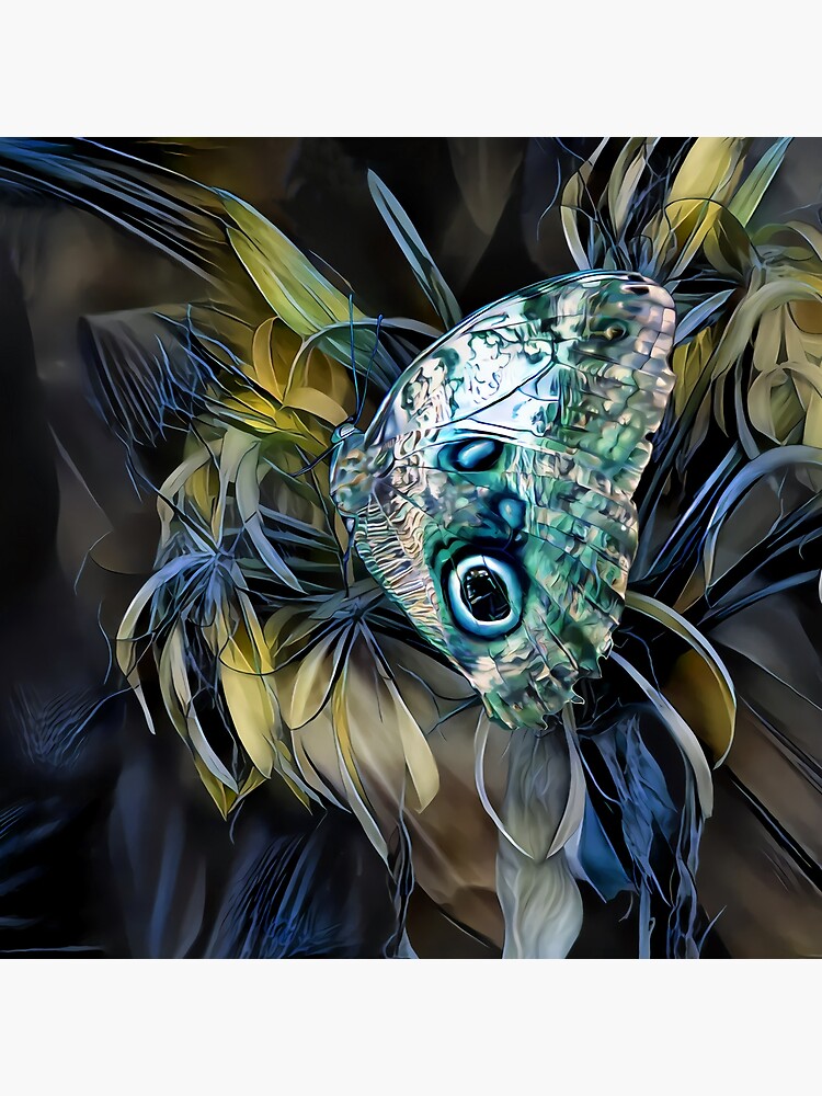 "Abalone Butterfly" Poster by ArtlyStudio | Redbubble