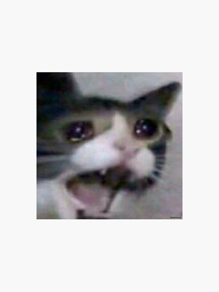 "Sad cat" Sticker for Sale by Mx-Omen | Redbubble