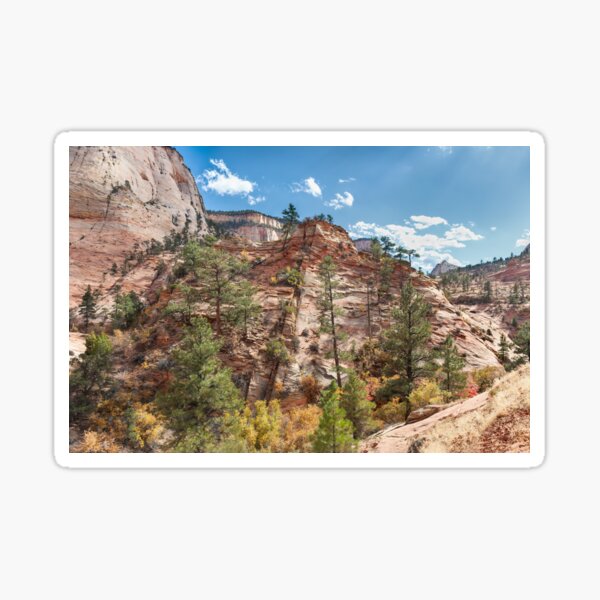 "Forest on the Rocks" Sticker for Sale by Picturart | Redbubble