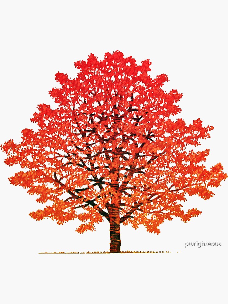 "Maple tree 2" Sticker for Sale by pwrighteous | Redbubble
