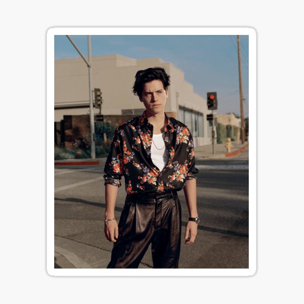 "Cole Sprouse " Sticker by caitlinwashere | Redbubble