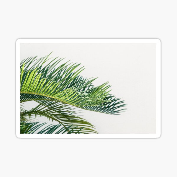 "Tropical Palm Tree Leaf" Sticker for Sale by newburyboutique | Redbubble