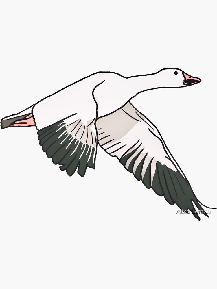 "Snow Goose" Sticker for Sale by Alixe Lemon | Redbubble