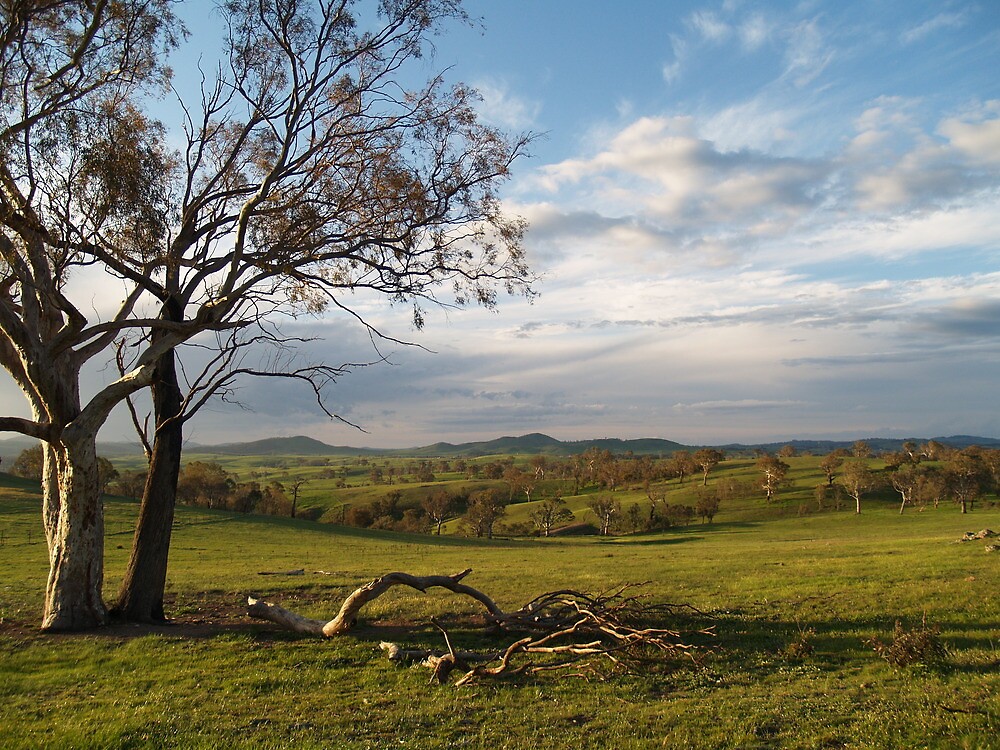 "Late Afternoon Spring Canberra Landscape." by shortshooter-Al | Redbubble