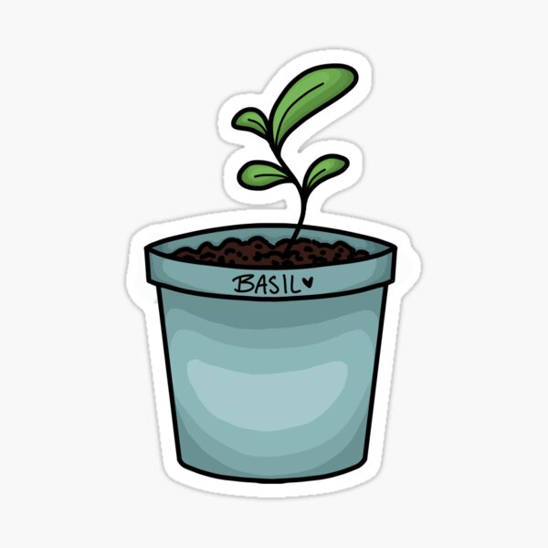 "basil plant" Sticker for Sale by Buggy321 | Redbubble