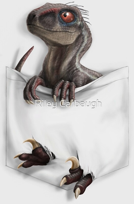 " Pocket Protector - Male Raptor" by Riley Carbaugh | Redbubble