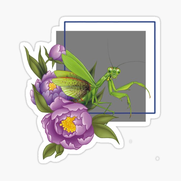 "Praying Mantis" Sticker by TheLamb | Redbubble