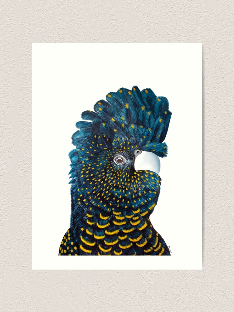 Black Cockatoo Art Print Art Print For Sale By Ambloor Redbubble