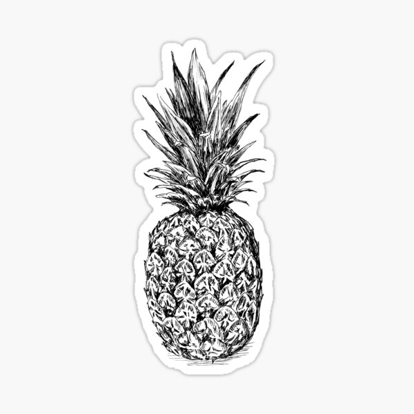 "Pineapple pen drawing" Sticker for Sale by RachelsFineLine | Redbubble