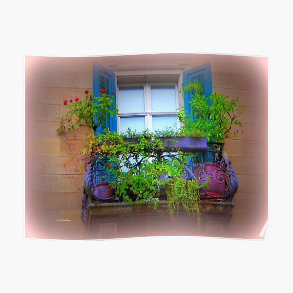 "Artsy Window" Poster by Sita | Redbubble