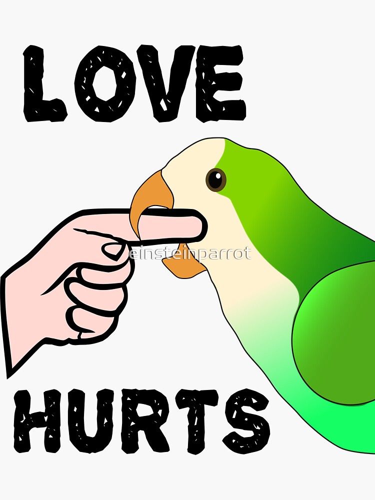 "Love Hurts Quaker Parrot Biting" Sticker for Sale by einsteinparrot ...