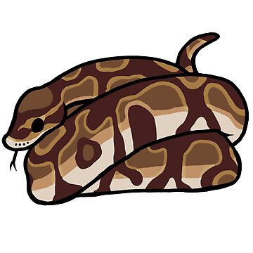 "Ball Python" Sticker for Sale by jaratepills | Redbubble