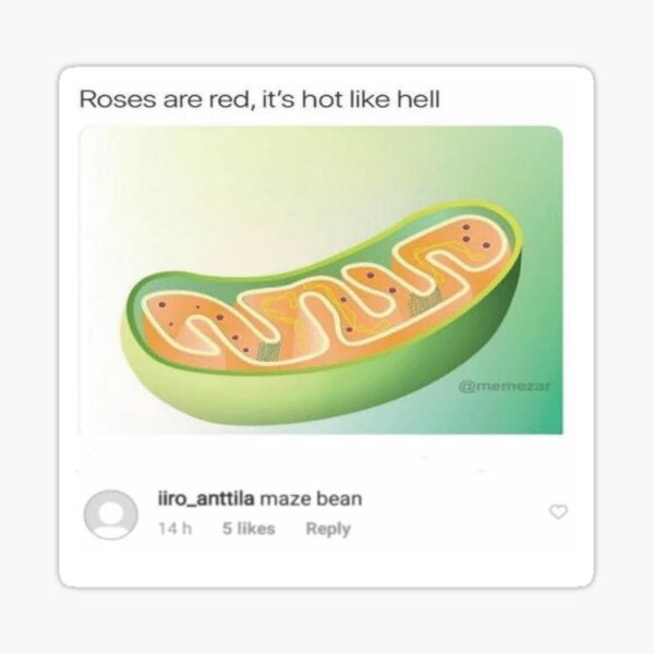 "MAze Bean" Sticker for Sale by cassidychang | Redbubble