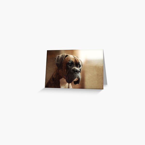 Boxer Dog Greeting Cards | Redbubble