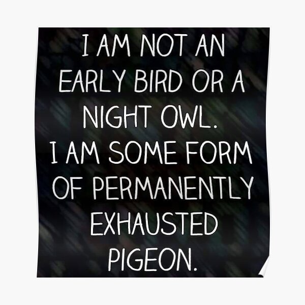 "I am Not an Early Bird or a Night Owl" Poster by phandiltees | Redbubble