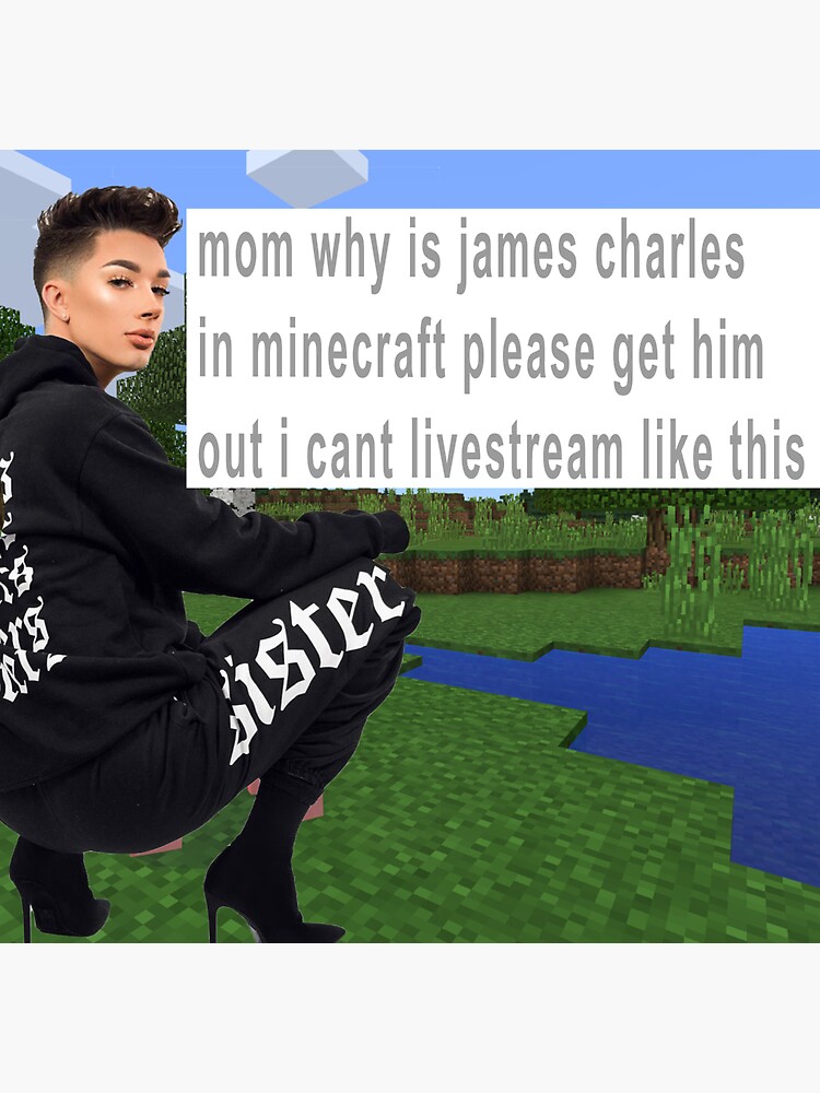 "James Charles Minecraft" Sticker for Sale by saddyp | Redbubble