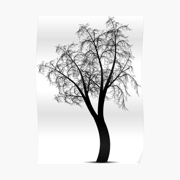 "Winter tree" Poster by ibphotos | Redbubble