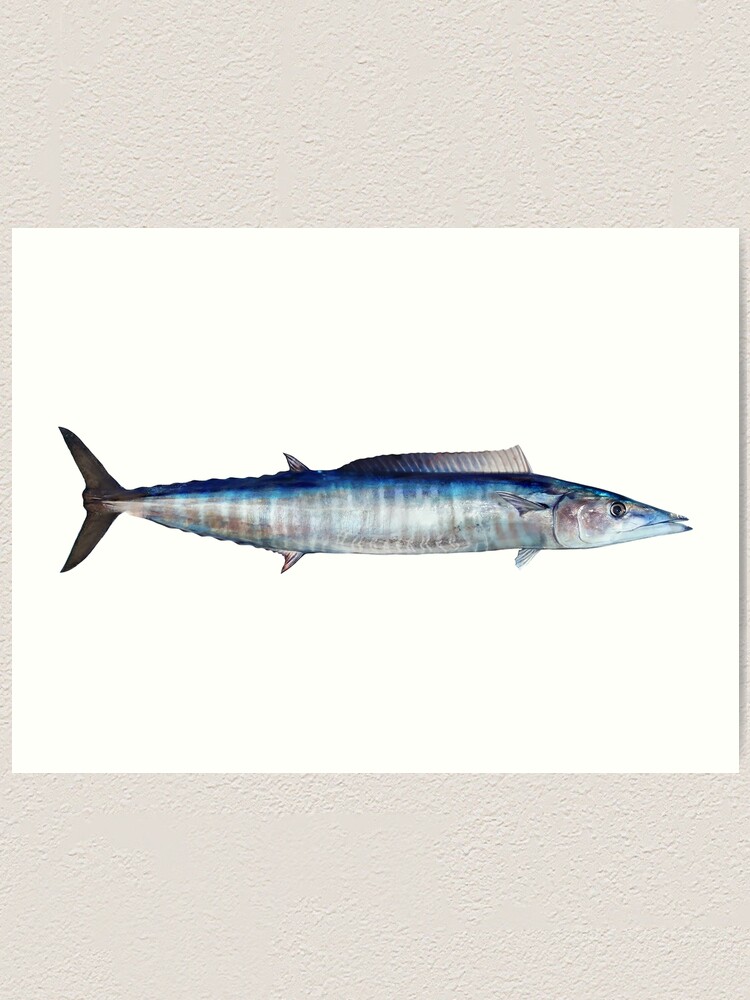 "Wahoo" Art Print for Sale by lureguru | Redbubble