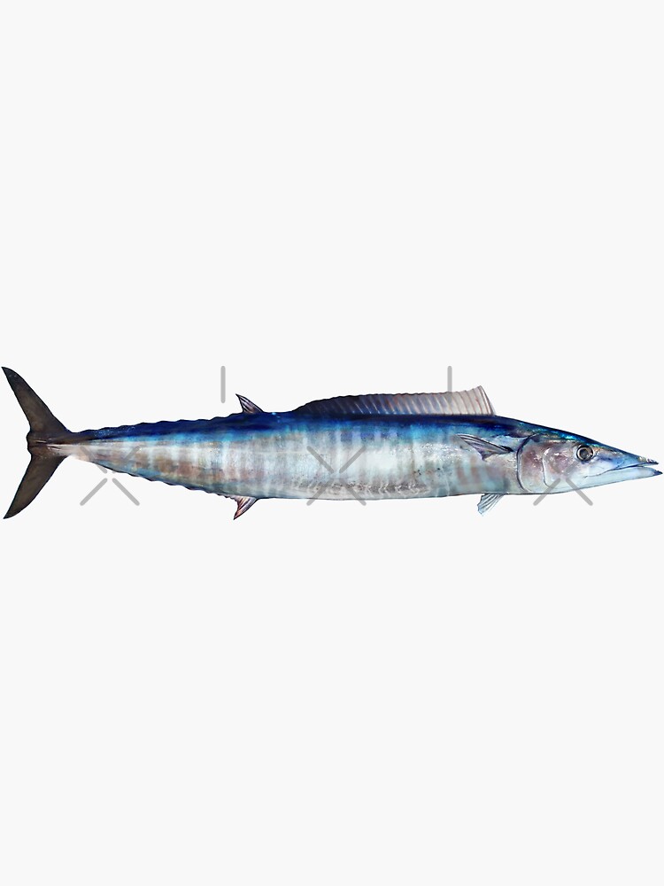 "Wahoo" Sticker for Sale by lureguru | Redbubble