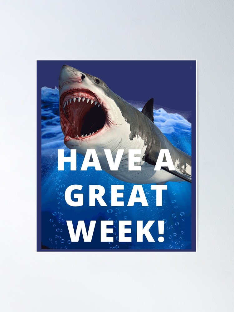 Happy Shark Week Meme The Happy Shark: A Cute And Relatable Animal