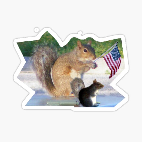 "Patriotic Squirrels Pledge Allegiance" Sticker for Sale by kristalcurt ...