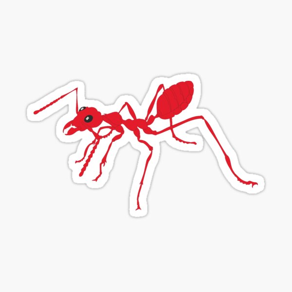 Antscanada Merch & Gifts for Sale | Redbubble